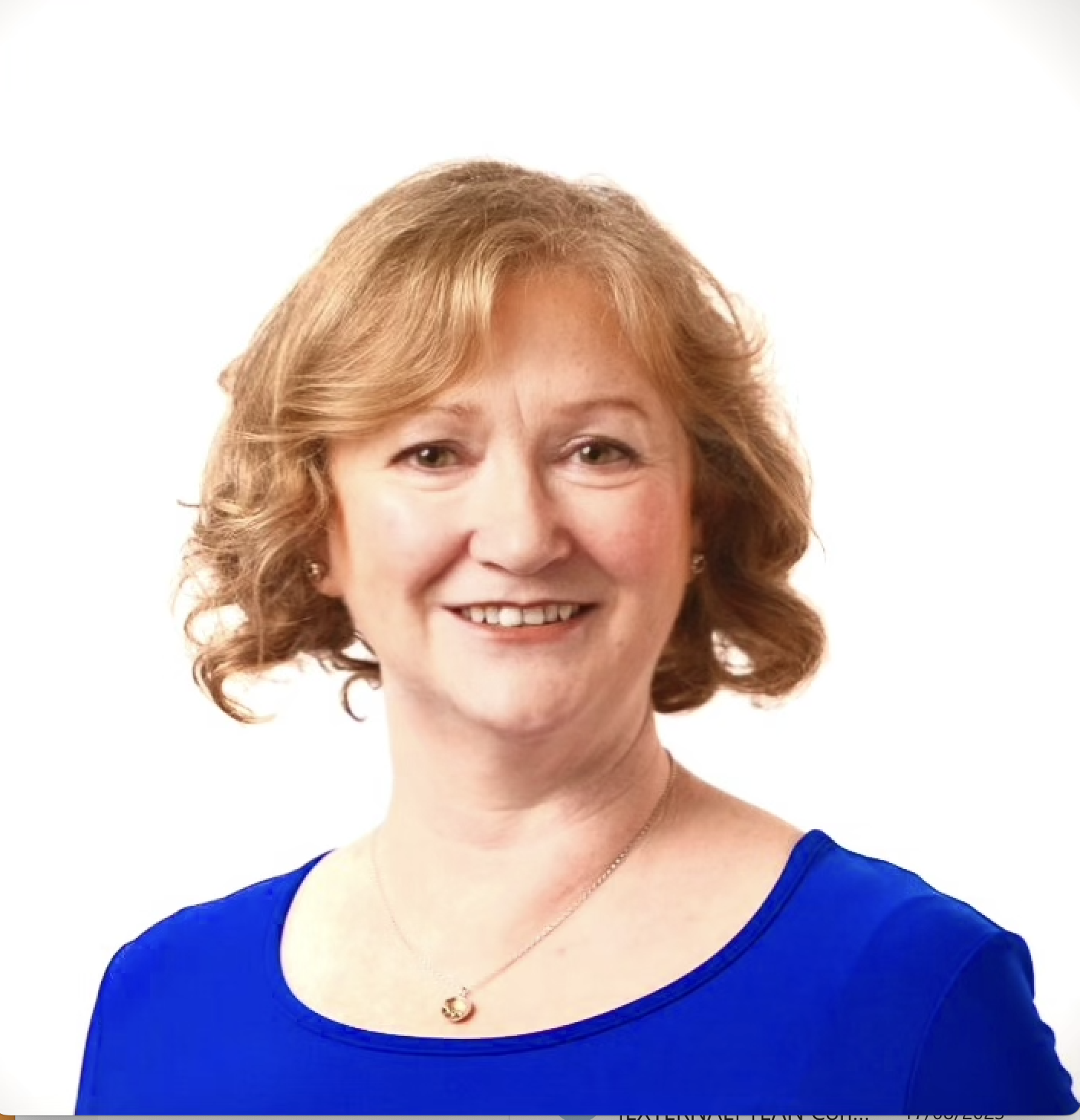 TEAN Executive Committee – Teacher Education Advancement Network (TEAN)